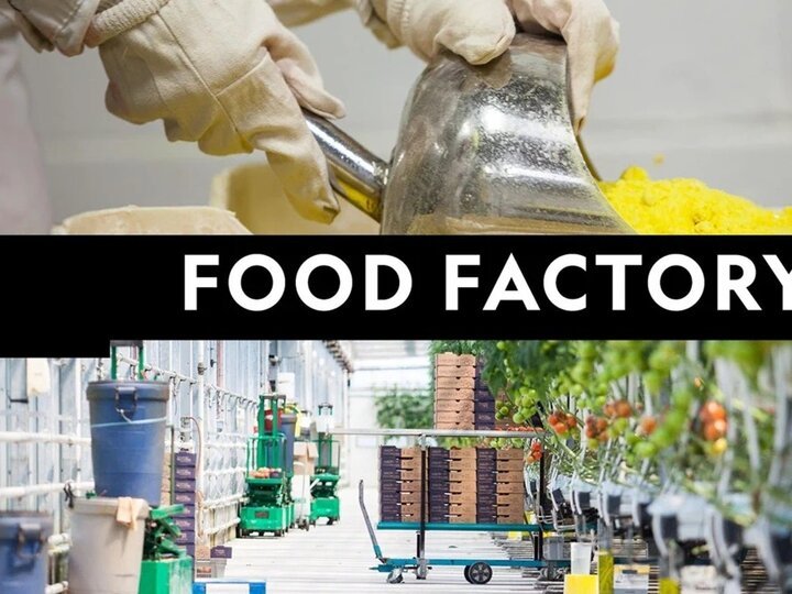 Food Factory på TV | Säsong 2 Avsnitt 23 | Tider och kanaler | tv24.se