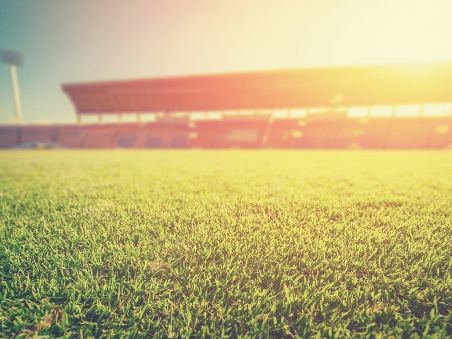 TBA - TBA on TV | Channels and schedules | tv24.co.uk