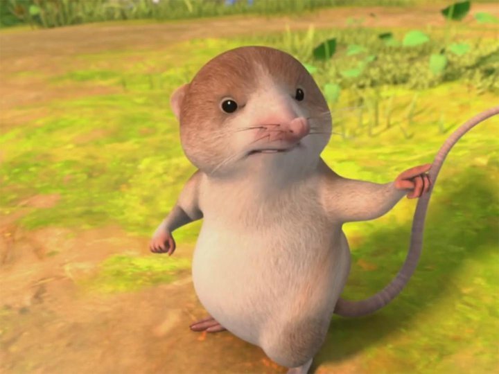 Peter Rabbit on TV | Channels and schedules | tv24.co.uk