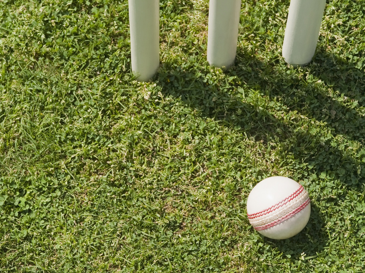 1st T20: India v South Africa (Women's International T20 Cricket) on TV ...