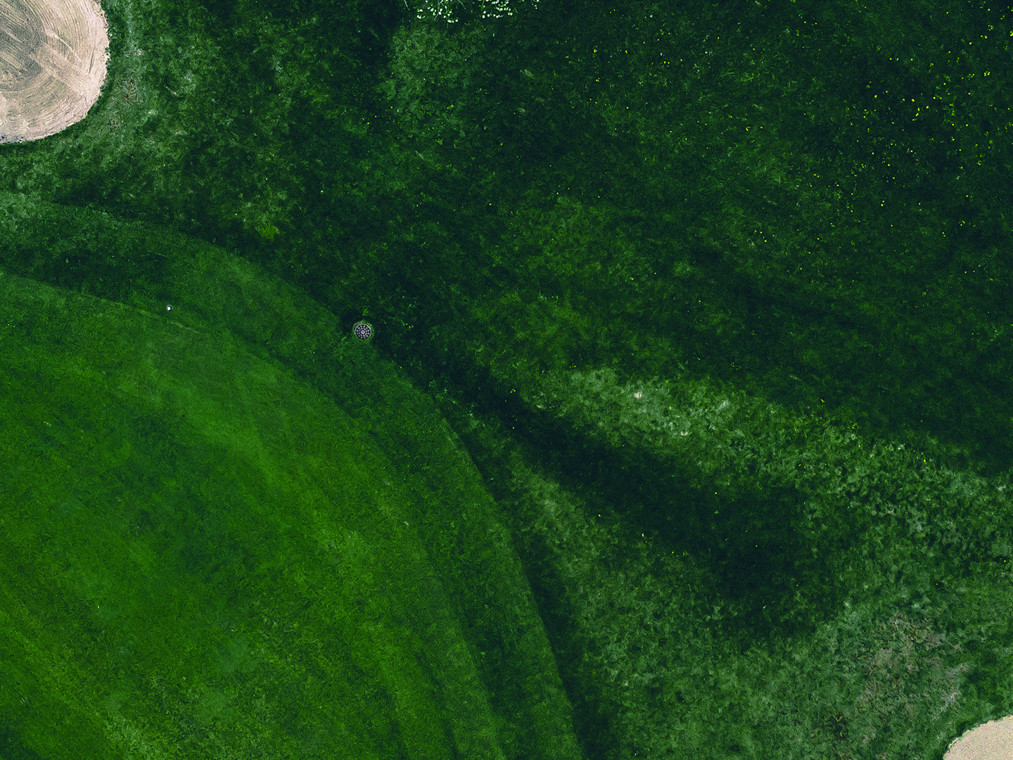 Swing Clinic With Jimmy Hanlin on TV | Channels and schedules ...