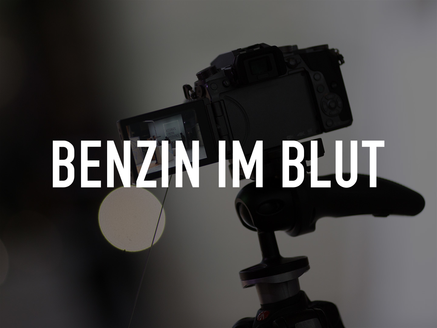 Benzin im Blut on TV | Channels and schedules | tv24.co.uk