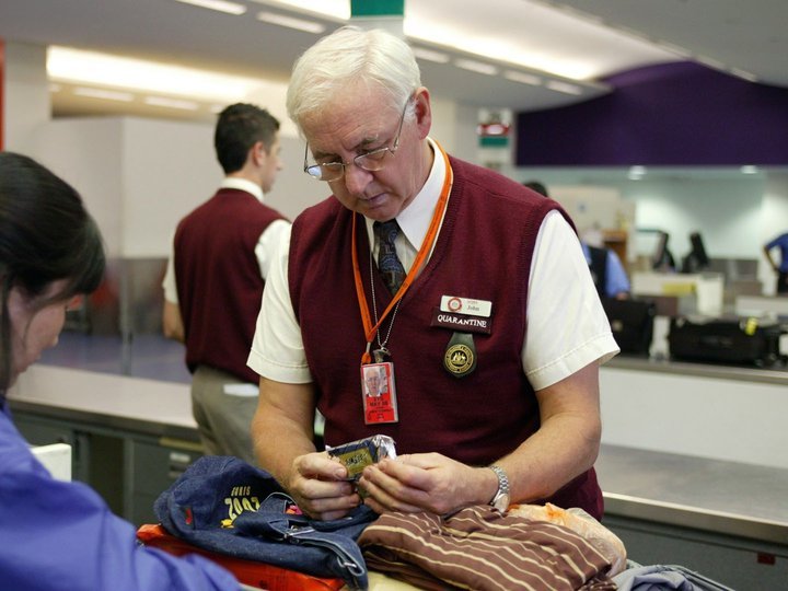 Nothing to Declare UK on TV | Channels and schedules | tv24.co.uk