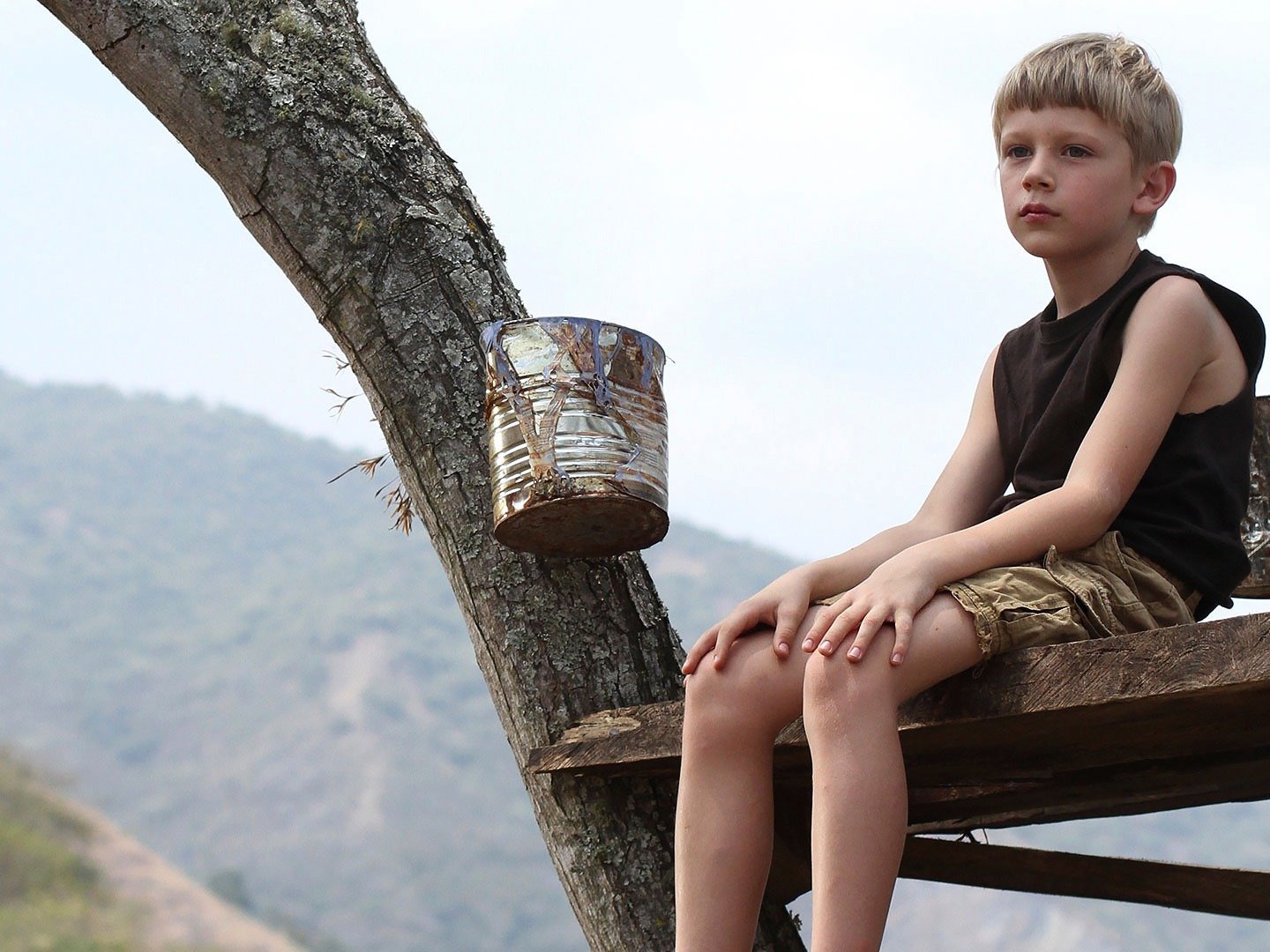 The Boy (2015) on TV | Channels and schedules | tvgenius.com