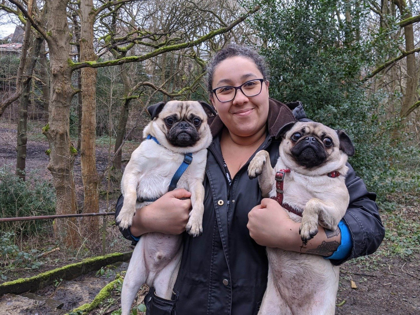 The Yorkshire Vet on TV | Series 12 Episode 10 | Channels and schedules ...