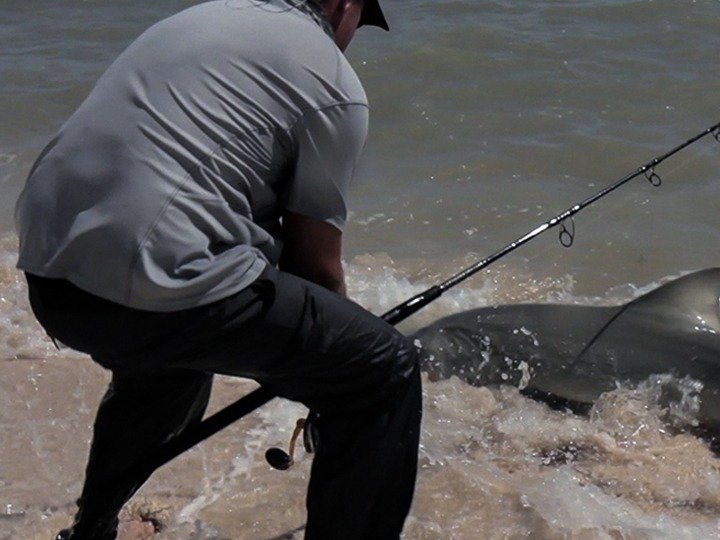 Monster Shark Infection (Chasing Monsters) on TV | Channels and ...