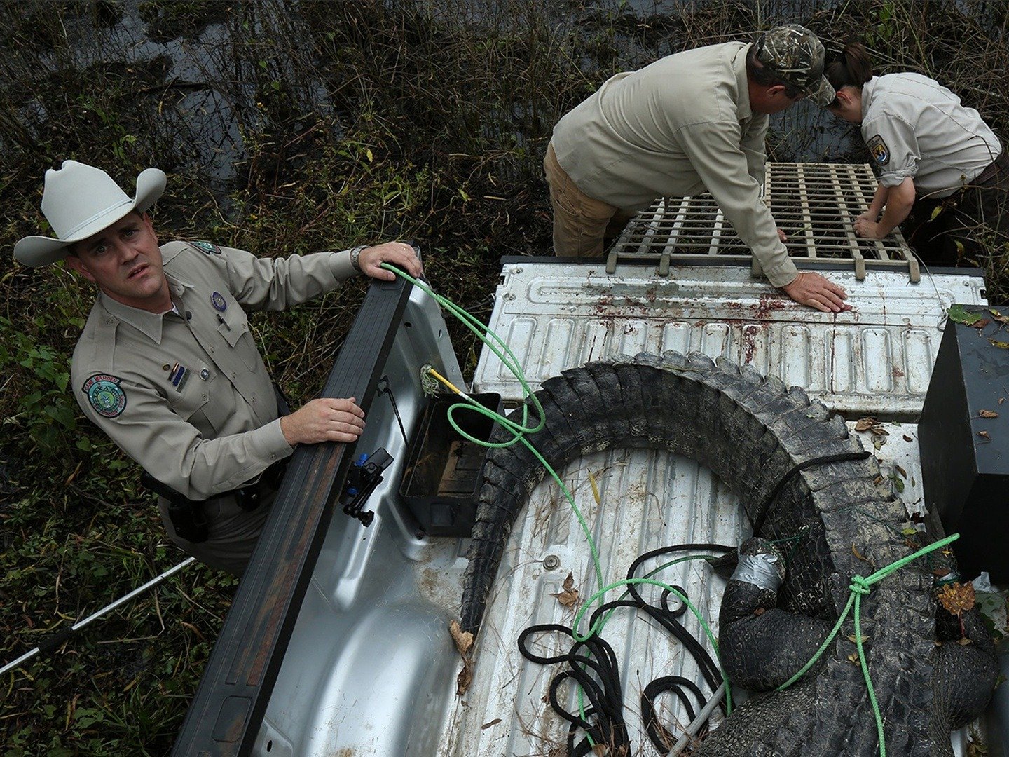 Lone Star Law on TV | Season 3 Episode 11 | Channels and schedules ...