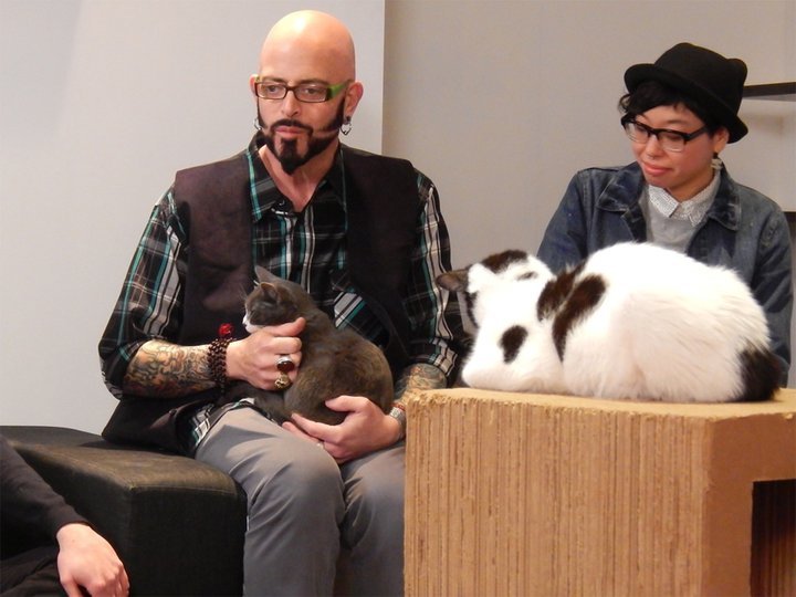 My Cat From Hell on TV | Series 6 Episode 6 | Channels and schedules ...