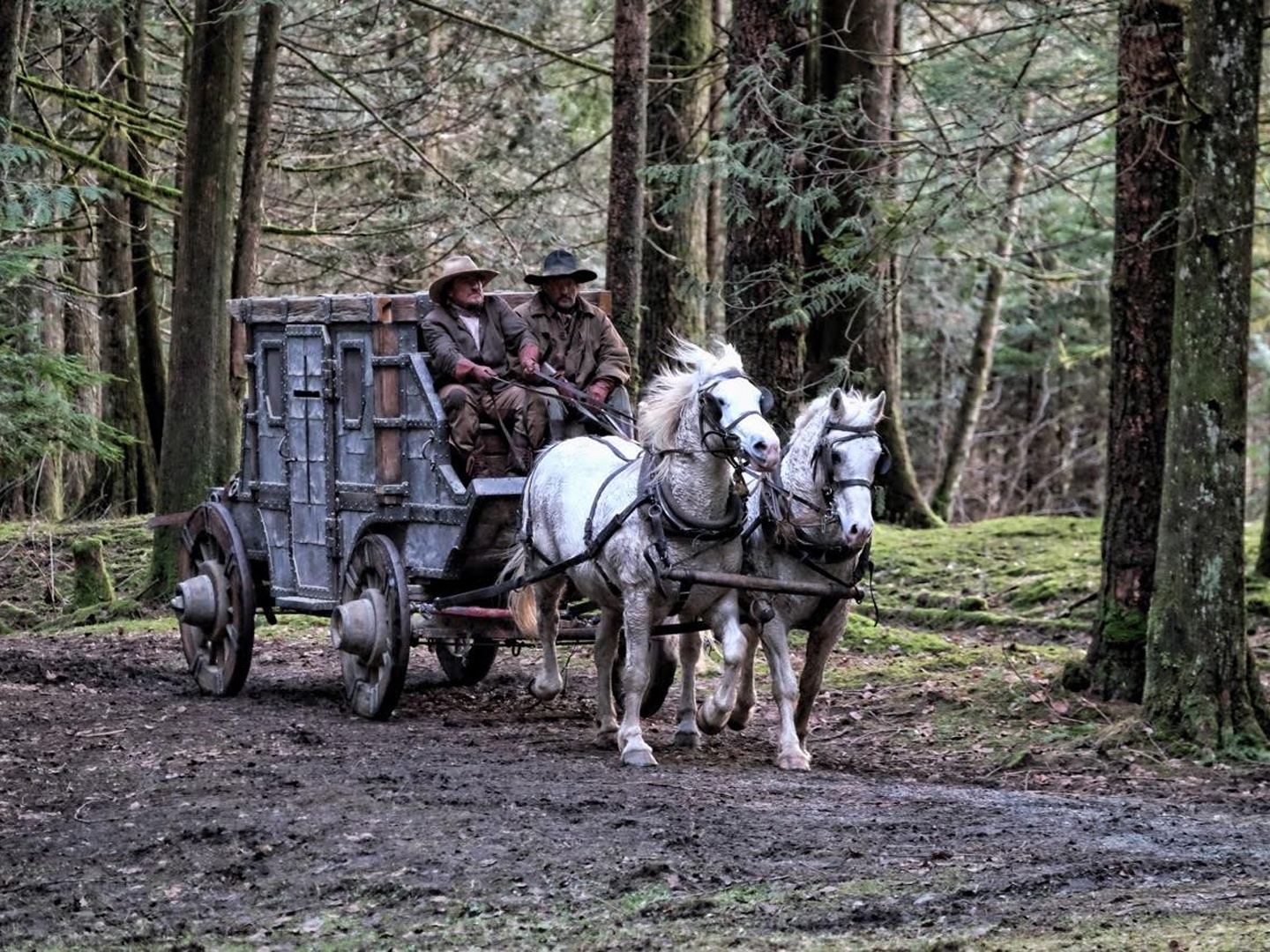 Stagecoach (2016) on TV | Channels and schedules | tv24.co.uk