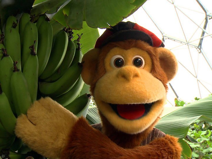 Milkshake Monkey on TV | Channels and schedules | TV24.co.uk