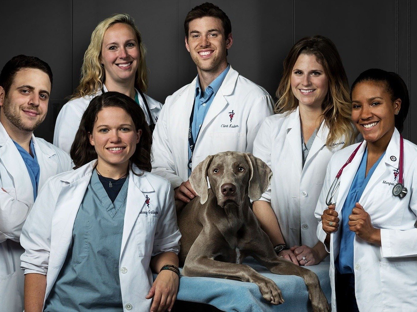Life at Vet U on TV | Season 1 Episode 6 | Channels and schedules ...