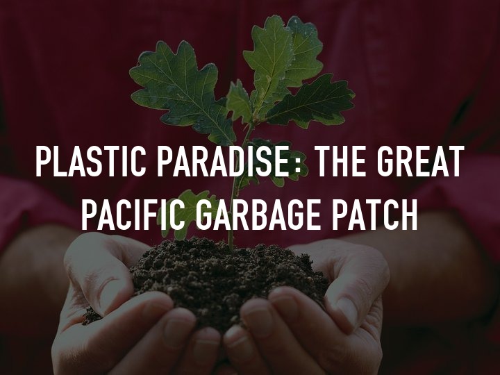 Plastic Paradise: The Great Pacific Garbage Patch on TV | Channels and ...