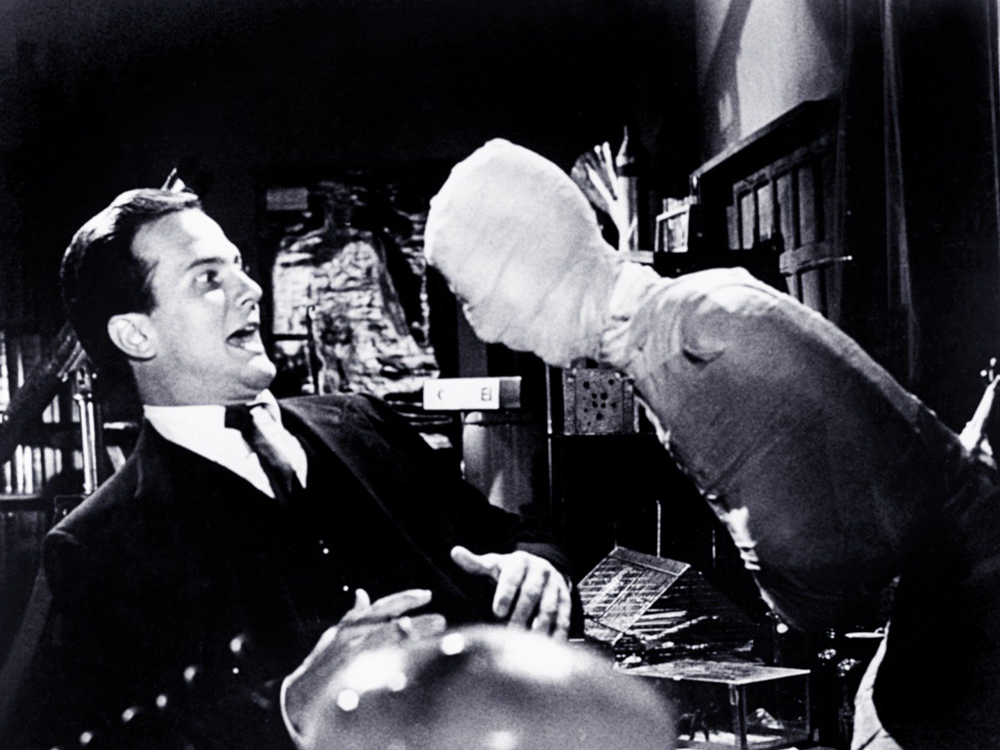 The Horror of It All (1964) on TV | Channels and schedules | tvgenius.com