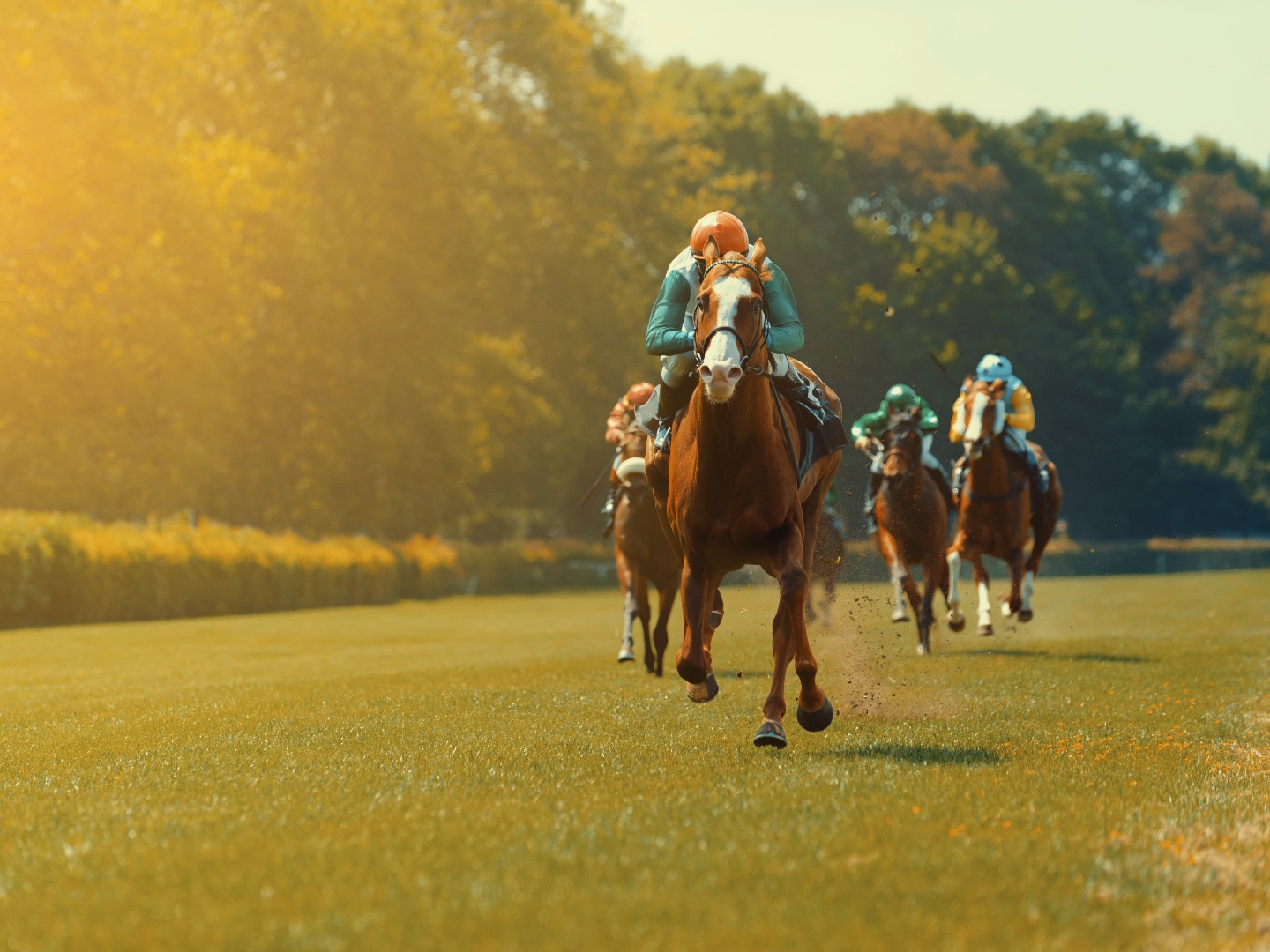 York ( ITV Racing Live) on TV | Channels and schedules | tv24.co.uk