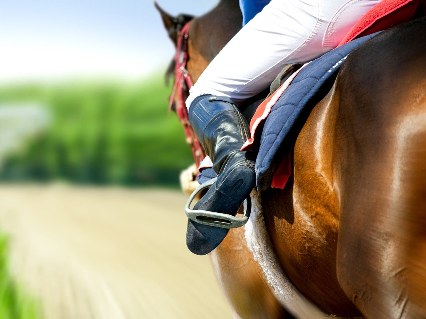 The Opening Show (ITV Racing) on TV | Channels and schedules | tv24.co.uk