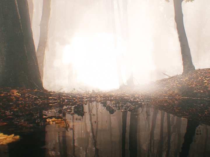 Disappeared on TV | Series 8 Episode 9 | Channels and schedules | tv24 ...