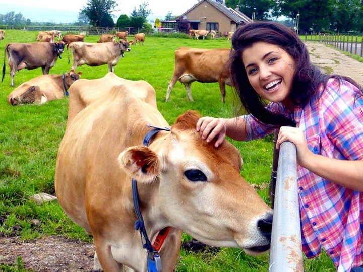 Down on the Farm on TV | Series 3 Episode 2 | Channels and schedules ...