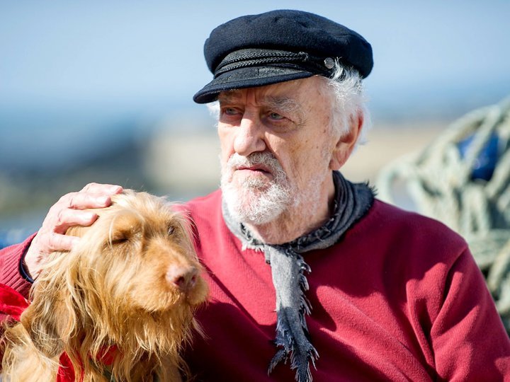 Old Jack's Boat: Rockpool Tales on TV | Series 1 Episode 13 | Channels ...