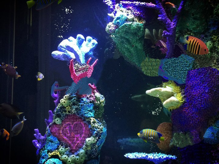 Tanked on TV | Series 6 Episode 13 | Channels and schedules | tv24.co.uk