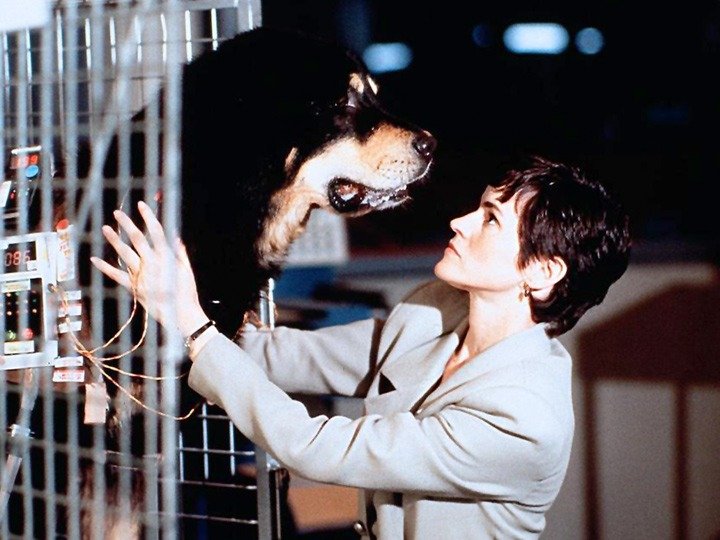 Man's Best Friend (1993) on TV | Channels and schedules | tvgenius.com