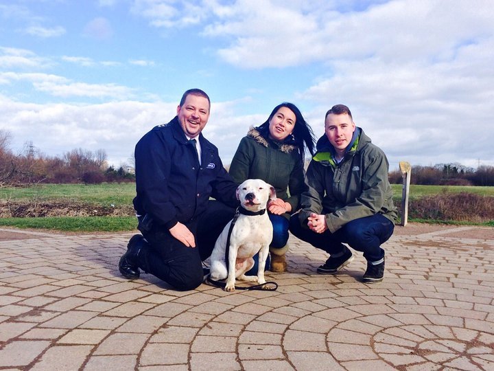 The Dog Rescuers: Best in Show on TV | Series 1 Episode 11 | Channels ...