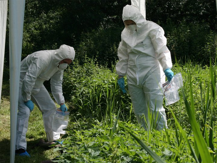 Killer In My Village on TV | Series 1 Episode 1 | Channels and ...