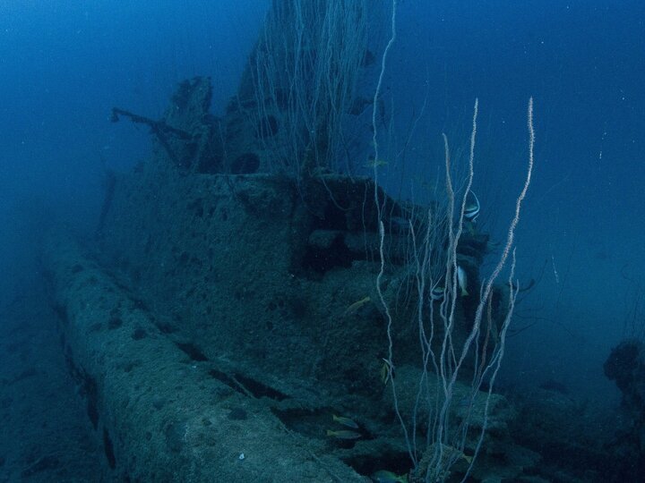 Drain the Oceans on TV | Series 3 Episode 1 | Channels and schedules ...