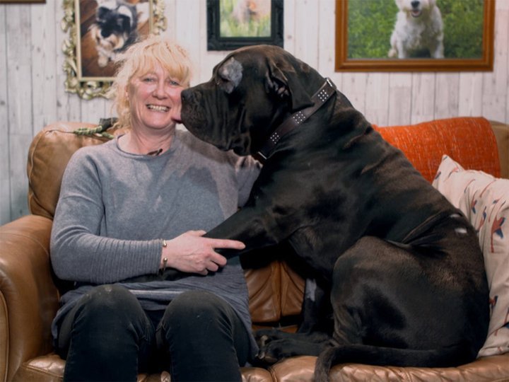 Inside the Vets on TV | Series 1 Episode 9 | Channels and schedules ...