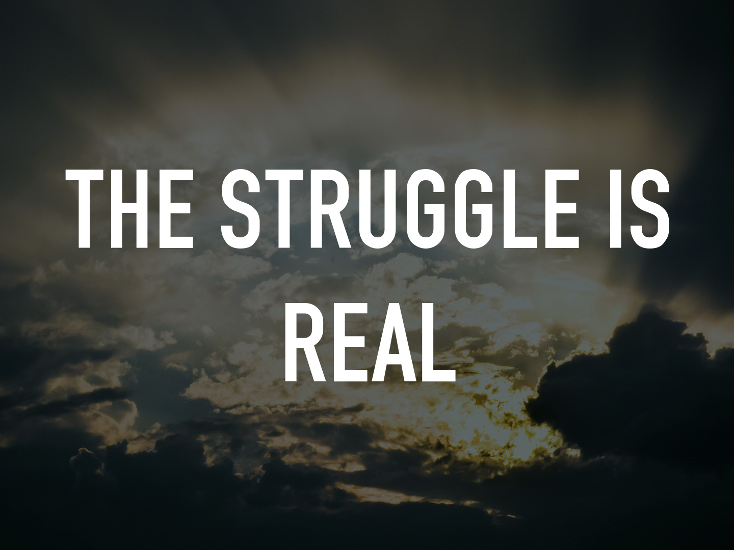 The Struggle Is Real on TV | Channels and schedules | tv24.co.uk