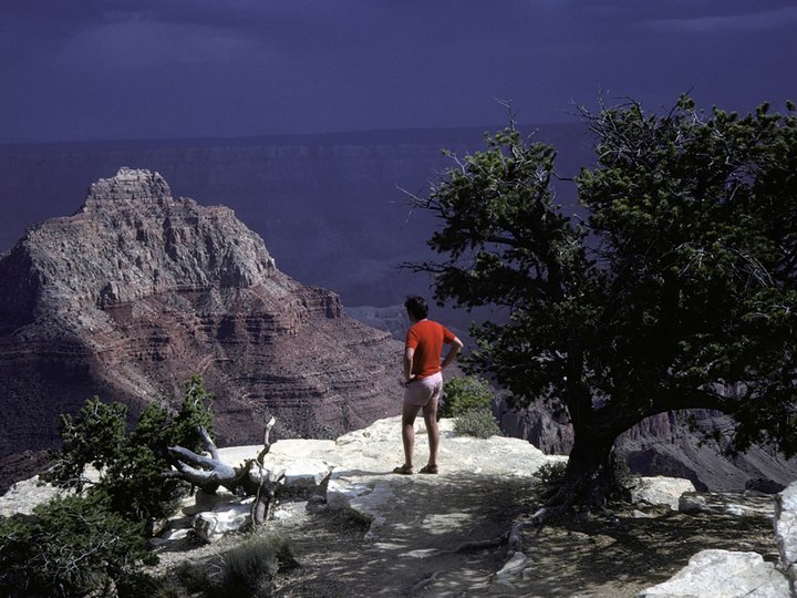 Peter Rice: An Engineer Imagines on TV | Channels and schedules | TV24 ...