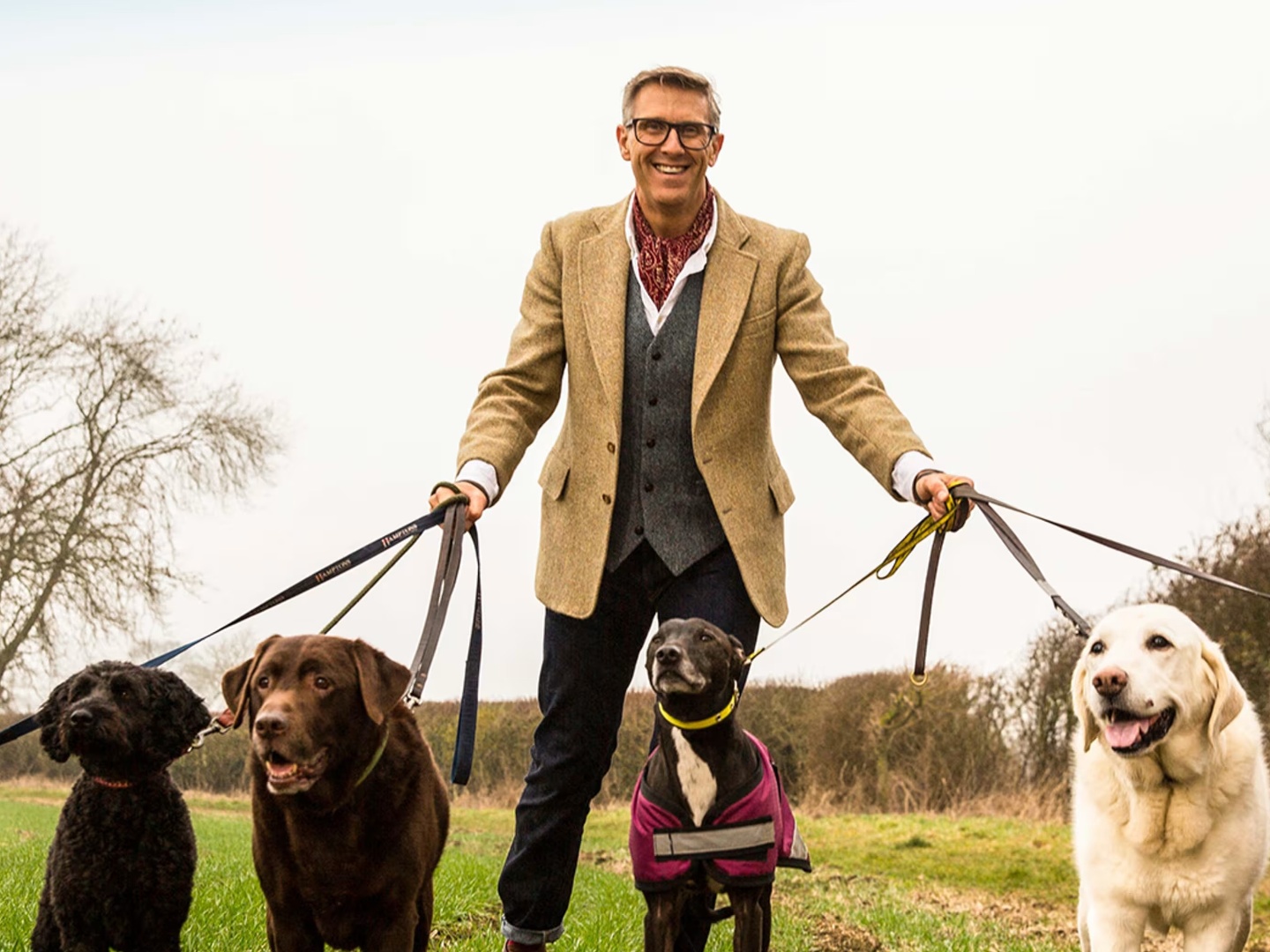 Dogs Behaving (Very) Badly on TV | Series 4 Episode 3 | Channels and ...