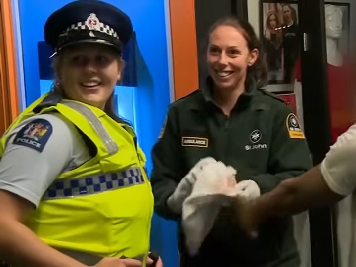Police Ten 7 on TV | Series 25 Episode 13 | Channels and schedules ...