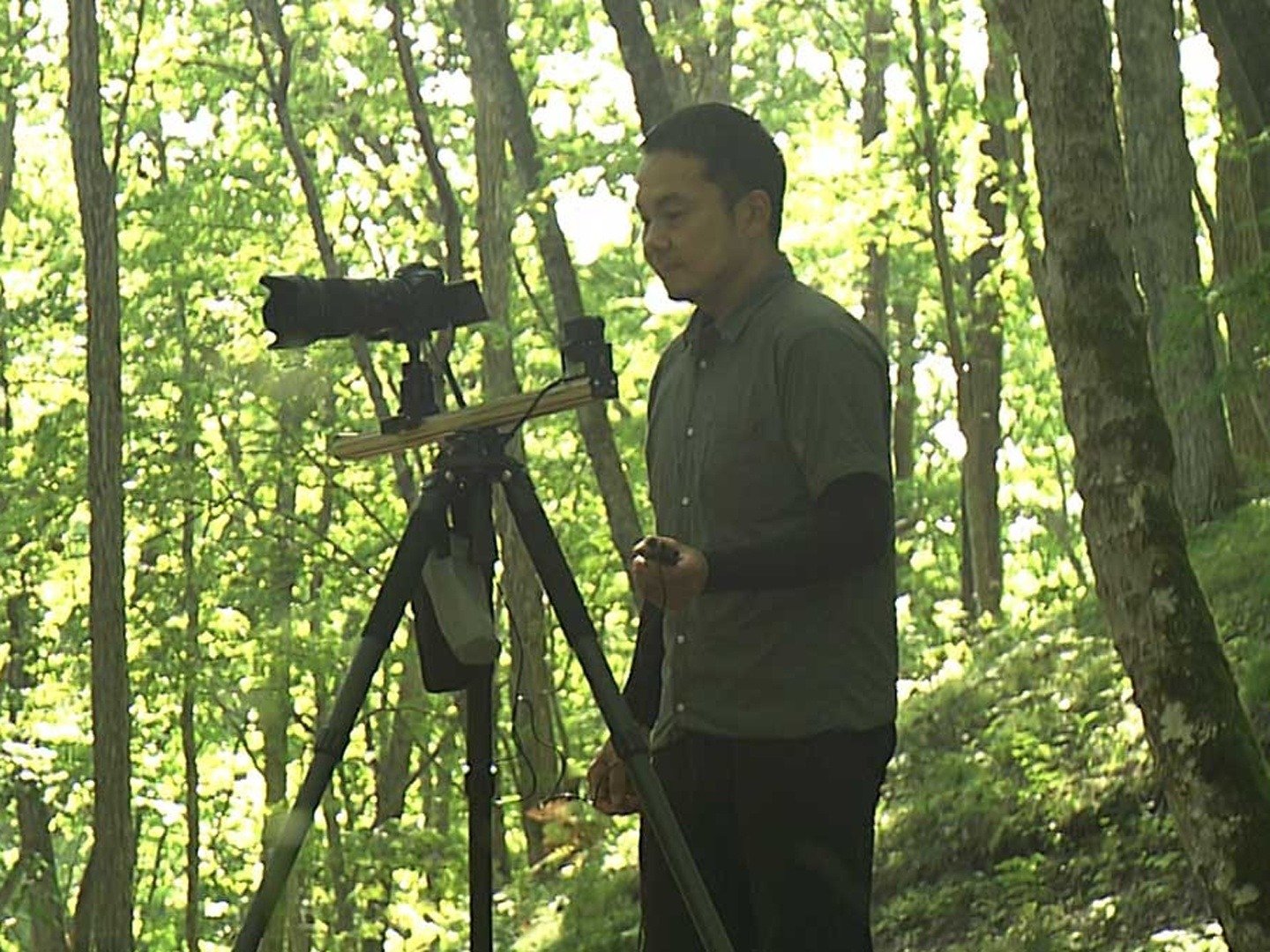 Time-Lapse Japan on TV | Channels and schedules | tv24.co.uk