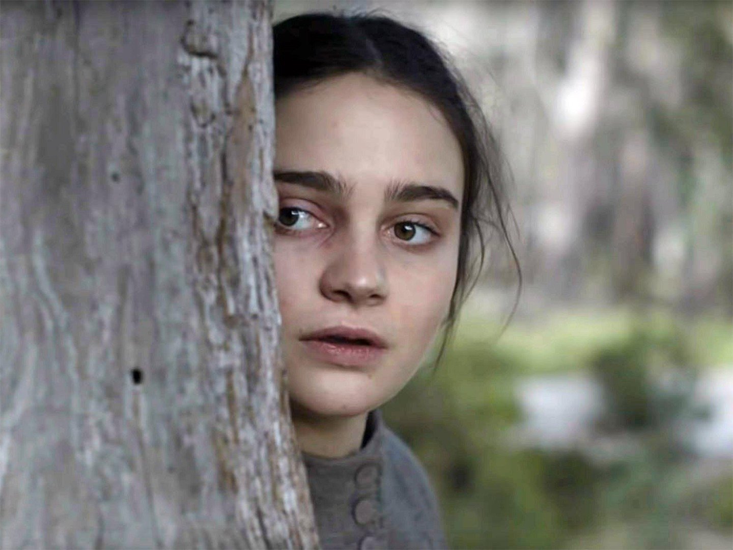 The Nightingale (2018) on TV | Channels and schedules | TV24.co.uk
