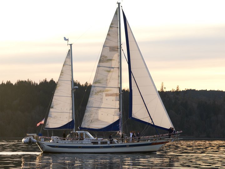 Sailing Into Love (2019) on TV | Channels and schedules | tv24.co.uk