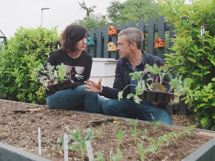 Grow, Cook, Eat on TV | Series 2 Episode 5 | Channels and schedules ...