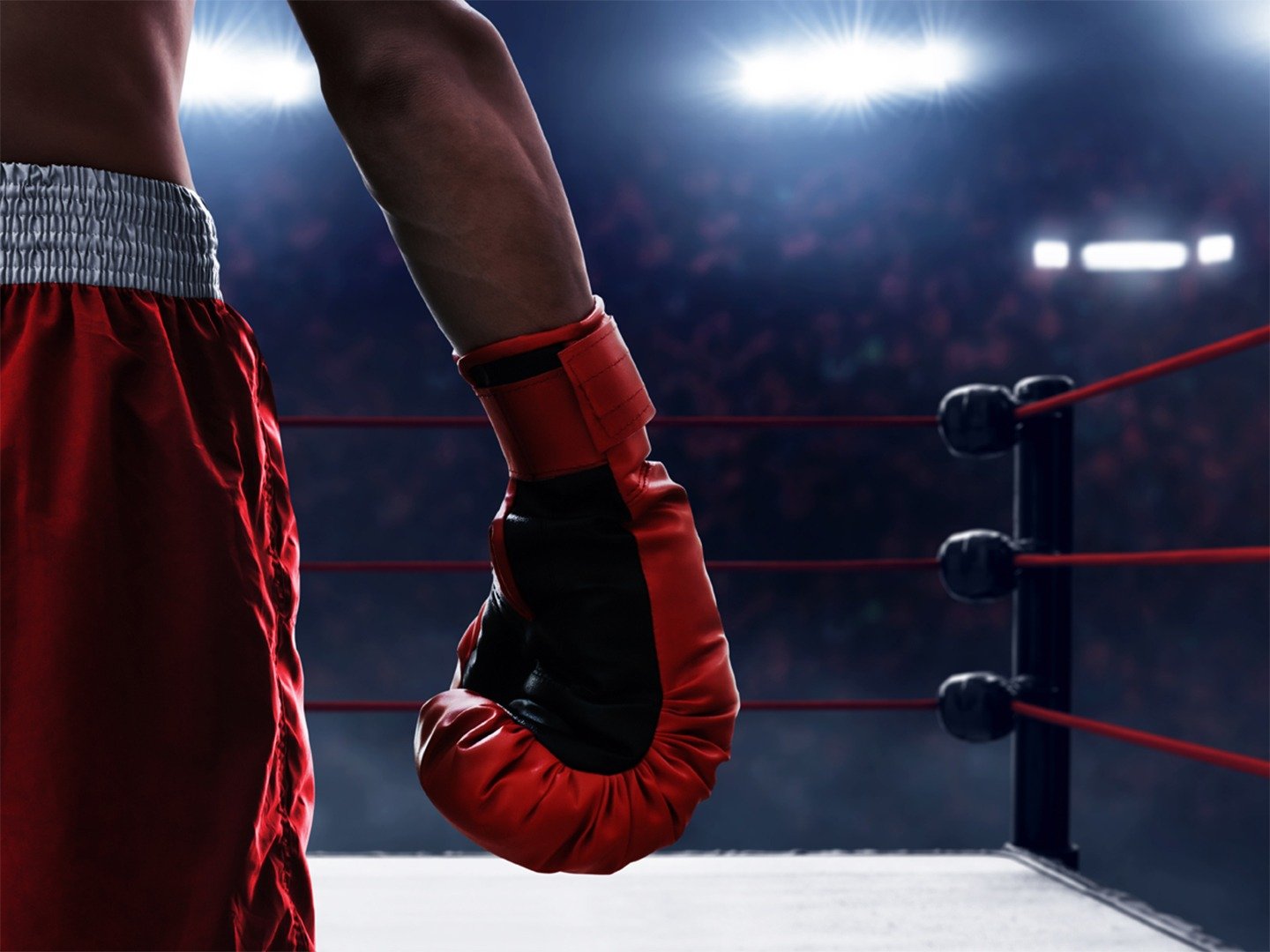 ESPN KnockOut on TV | Channels and schedules | tvgenius.com