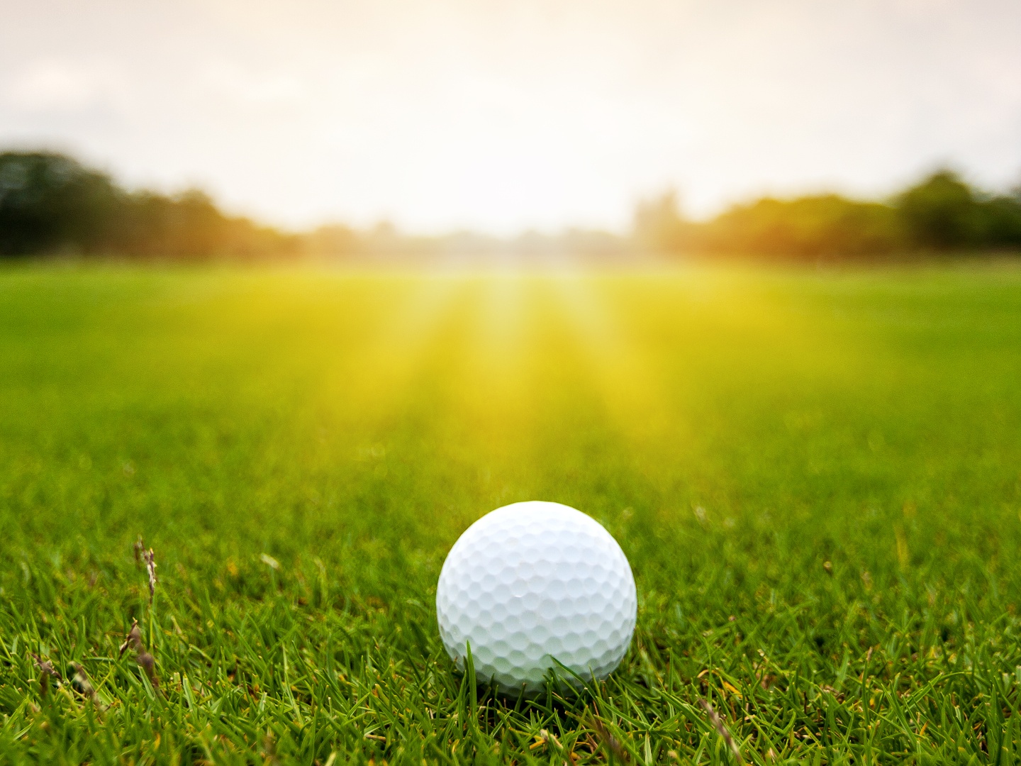 Compliance Solutions Championship, First Round (PGA Korn Ferry Tour ...