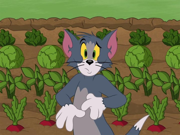 The Tom and Jerry Show on TV | Channels and schedules | TV24.co.uk