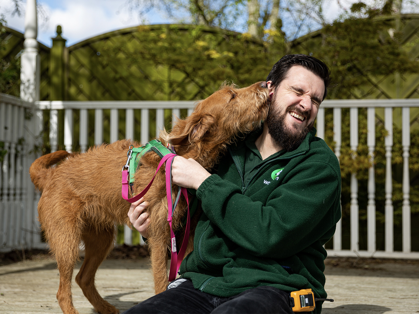 The Dog House on TV | Series 5 Episode 3 | Channels and schedules ...