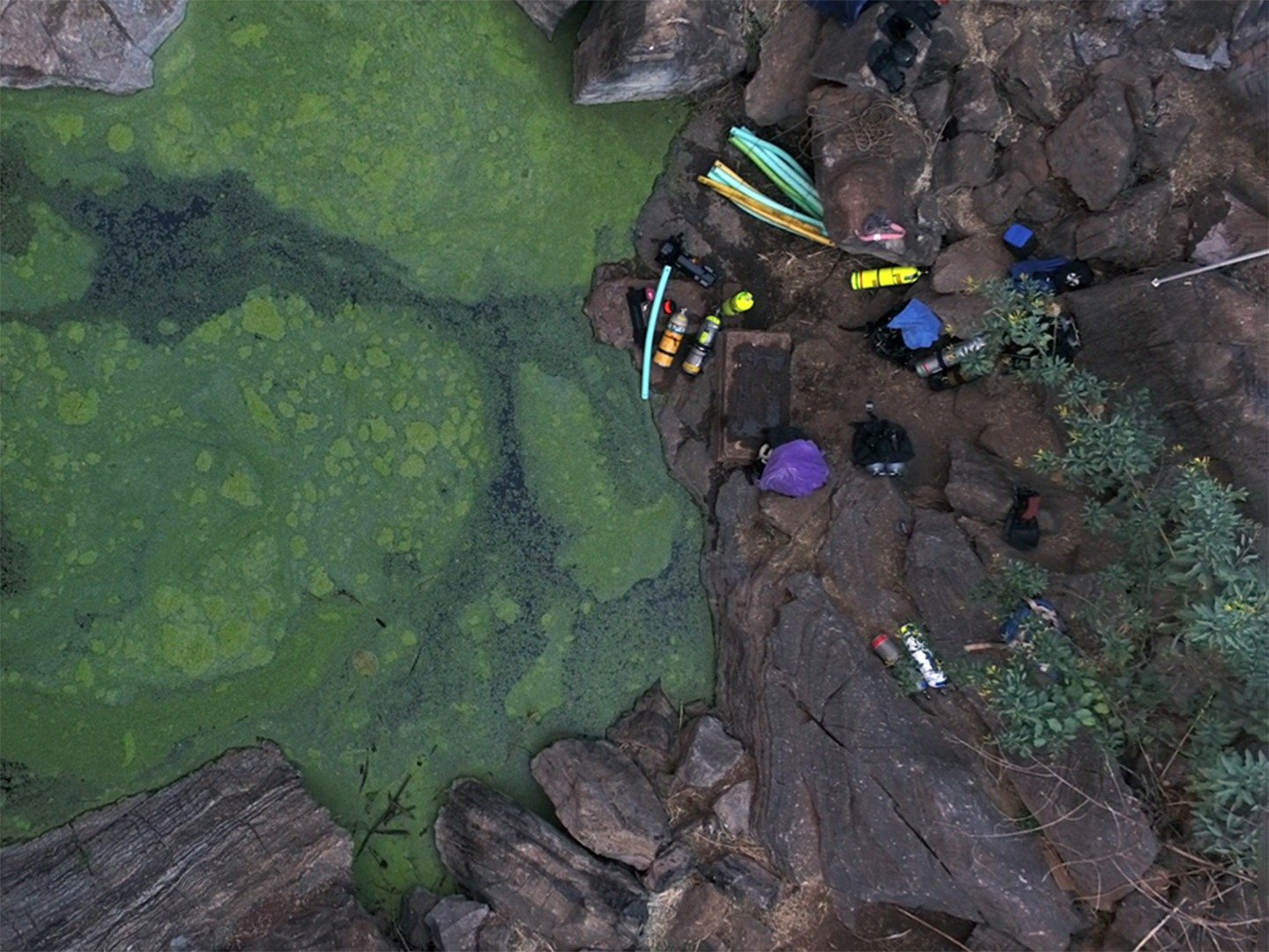 Dave Not Coming Back (2020) on TV | Channels and schedules | TV24.co.uk