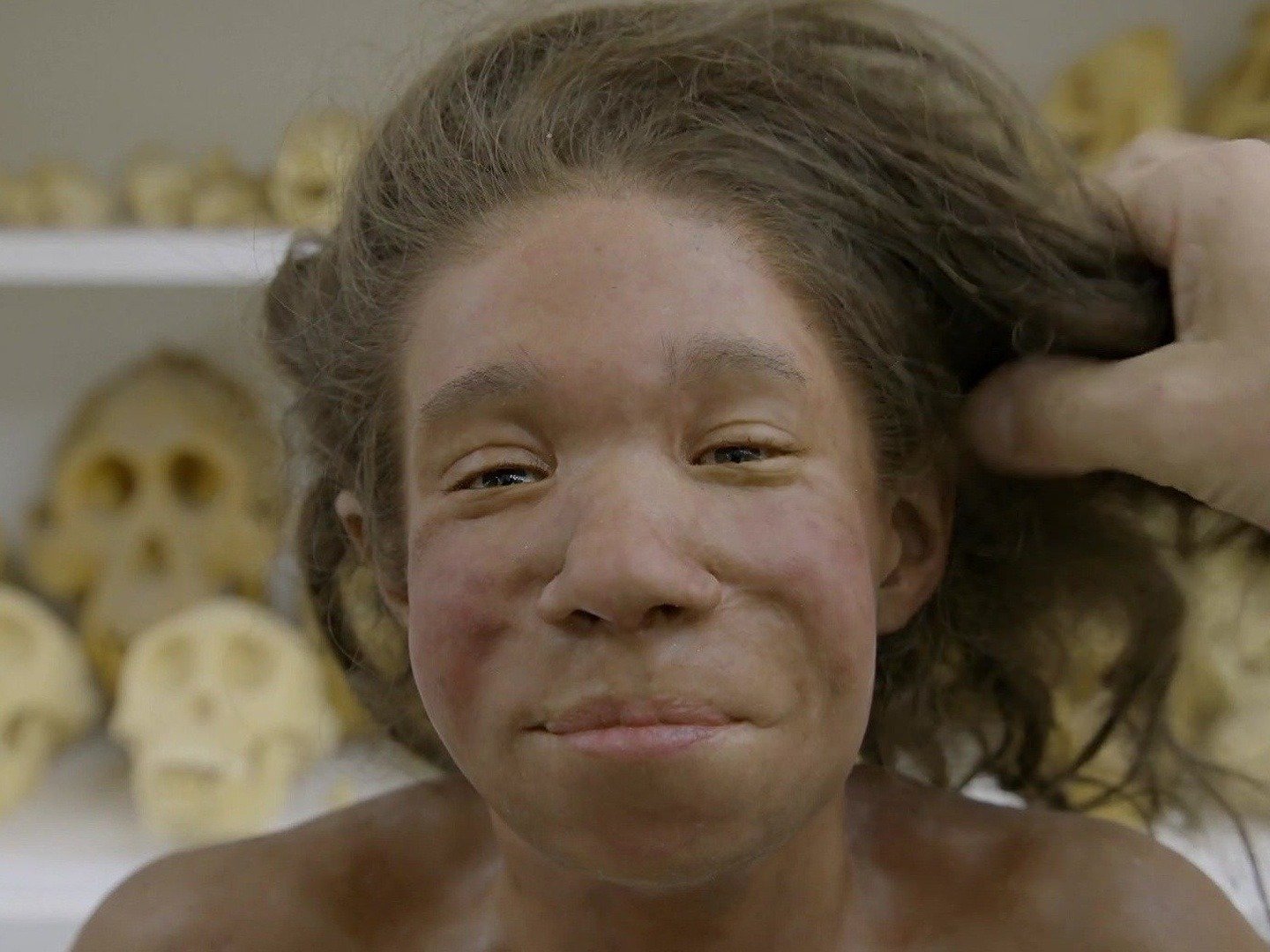 Who Was the Real Neanderthal? on TV | Channels and schedules | TV24.co.uk