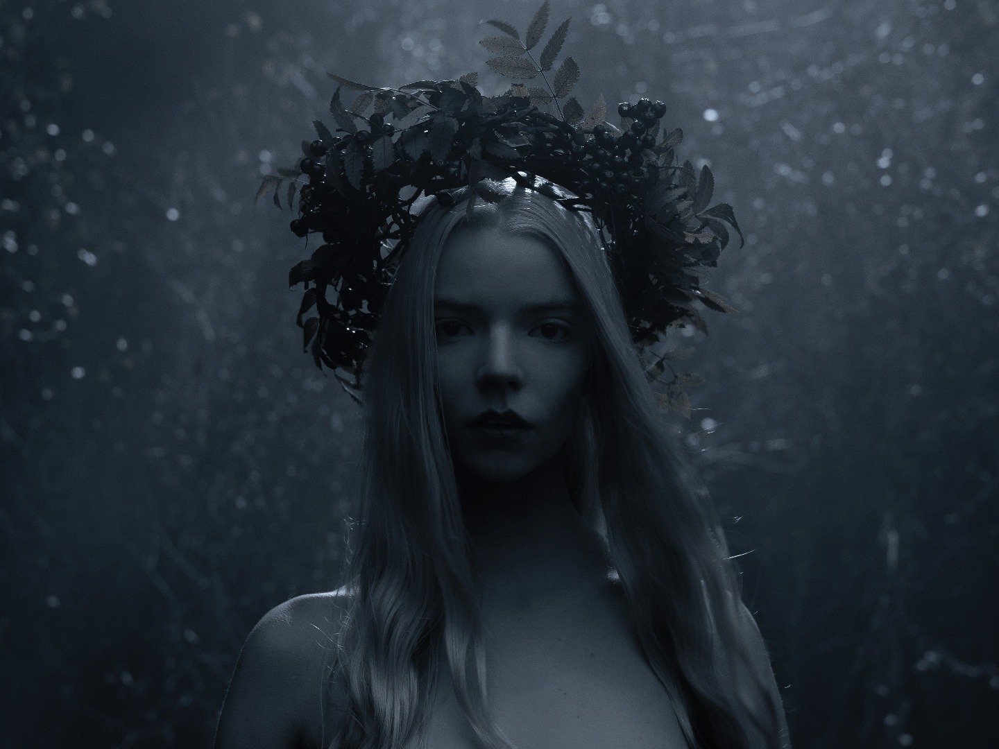 The Northman (2022) on TV | Channels and schedules | tv24.co.uk