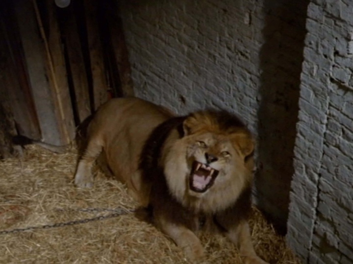 Lionheart (1968) on TV | Channels and schedules | TV24.co.uk