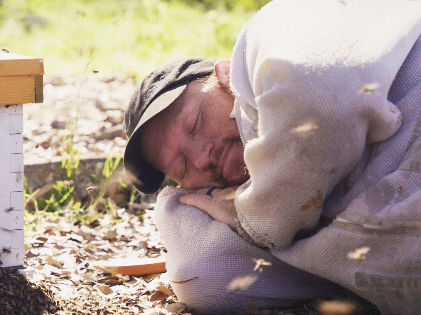 Charlie Bee Company on TV | Series 1 Episode 5 | Channels and schedules ...