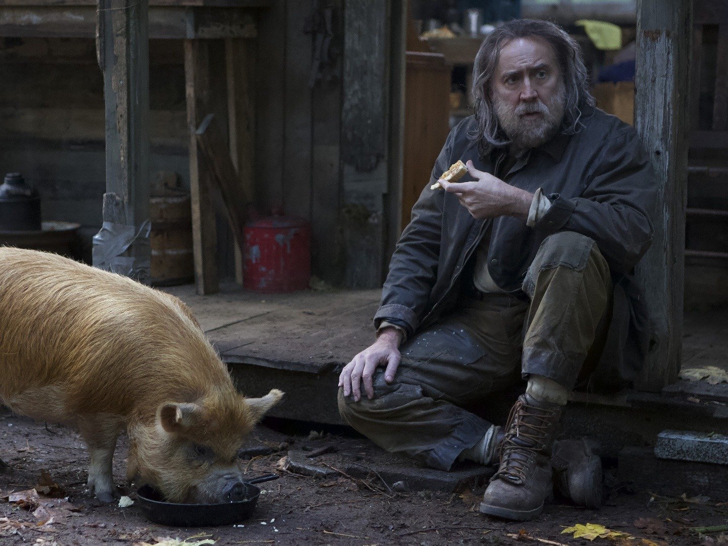 Pig (2021) on TV | Channels and schedules | tv24.co.uk