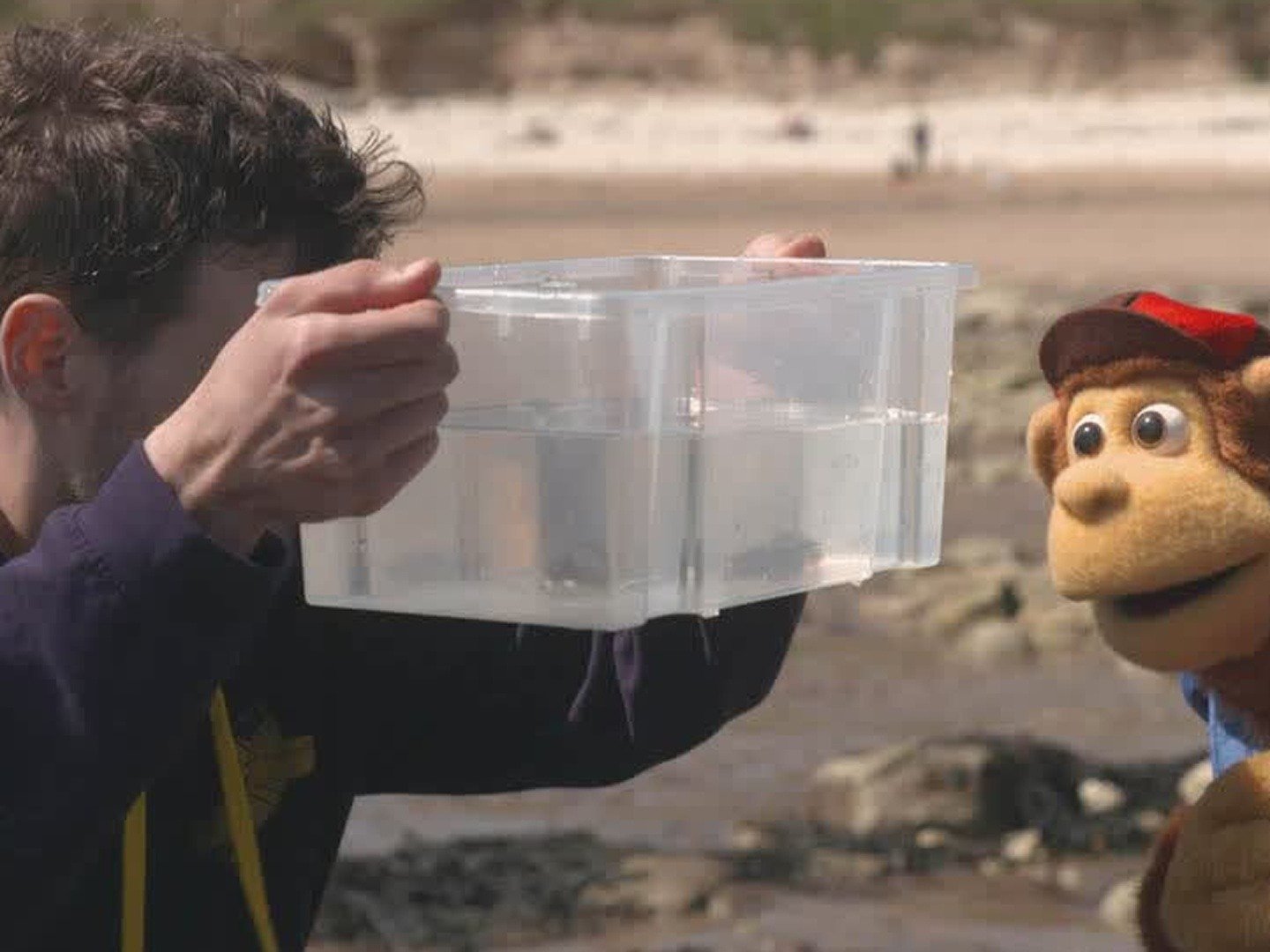 Milkshake Monkey on TV | Channels and schedules | tv24.co.uk