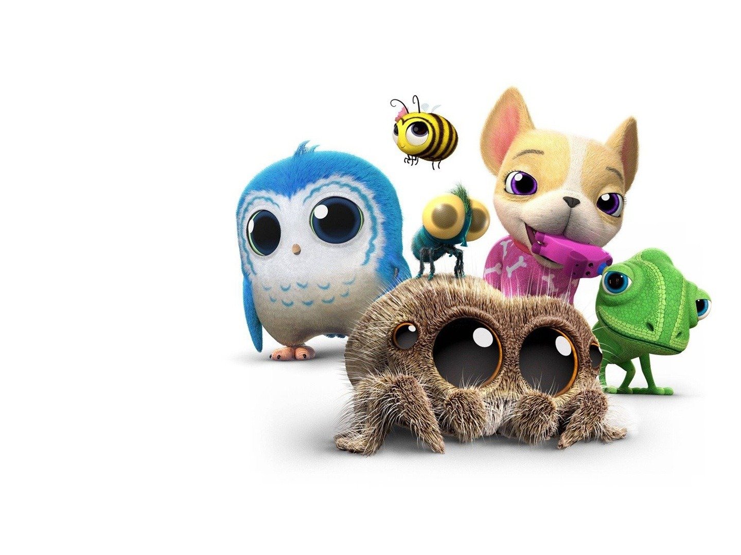 Lucas the Spider on TV | Series 1 | Channels and schedules | TV24.co.uk