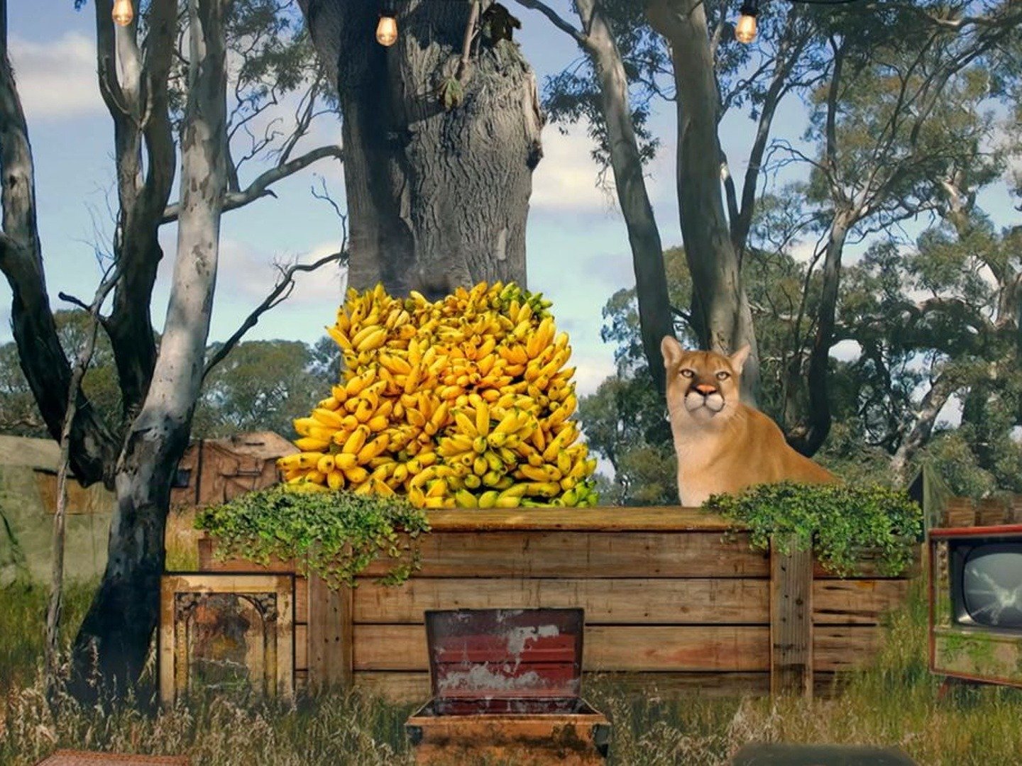 Bad Nature on TV | Series 1 Episode 20 | Channels and schedules | TV24 ...