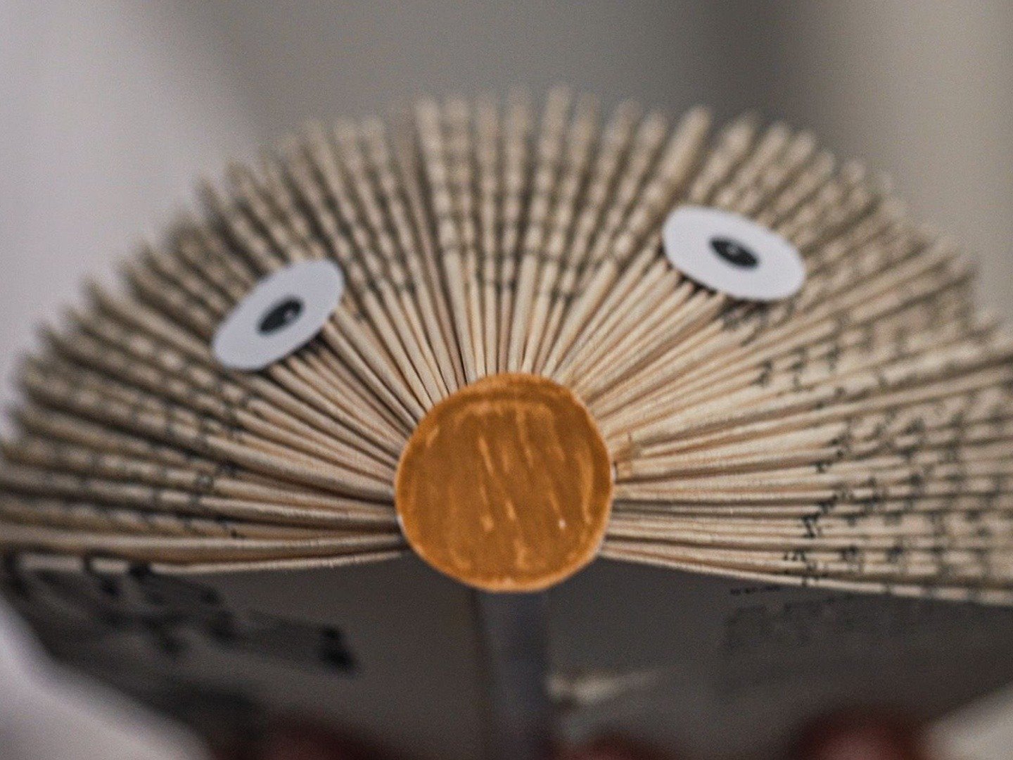 Go Green With The Grimwades on TV | Channels and schedules | tvgenius.com